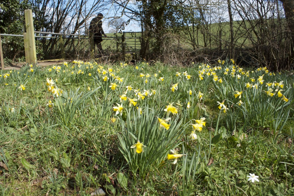 Visiting the Dymock Poets Countryside